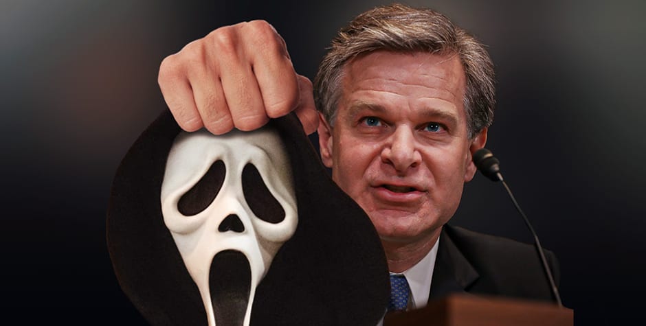 HORROR STORY: IRS Agent Used Fake ID To Enter Taxpayer's Home ...